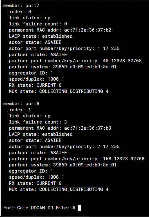 P1 INF: How to check the health of a port channel group on a Fortigate ...
